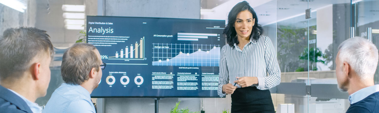 Project Management Support Services Banner – Datanerv